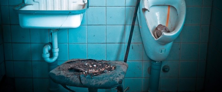 Urine and Faeces Cleanup | Biosite Cleanup